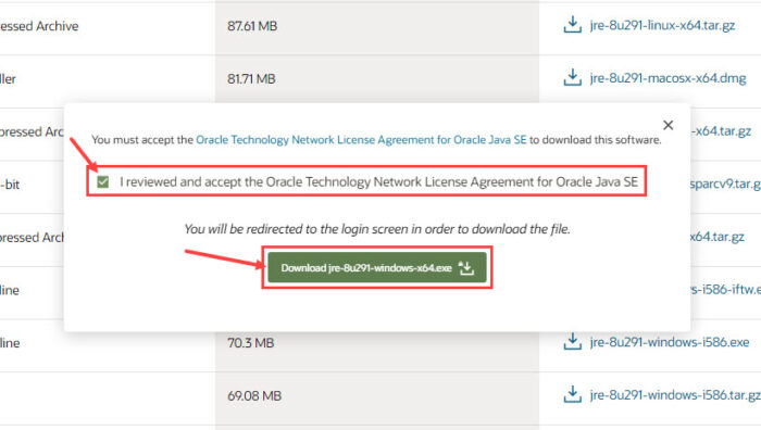 Download And Install Java 8 Update 291