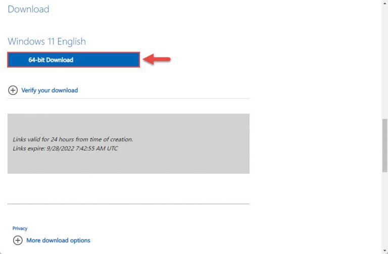 Download Windows 11 ISO Files (64-bit Official Links)