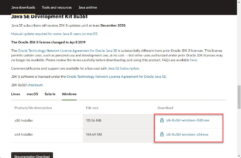 Download Java 8 Update 361 Offline Installers
